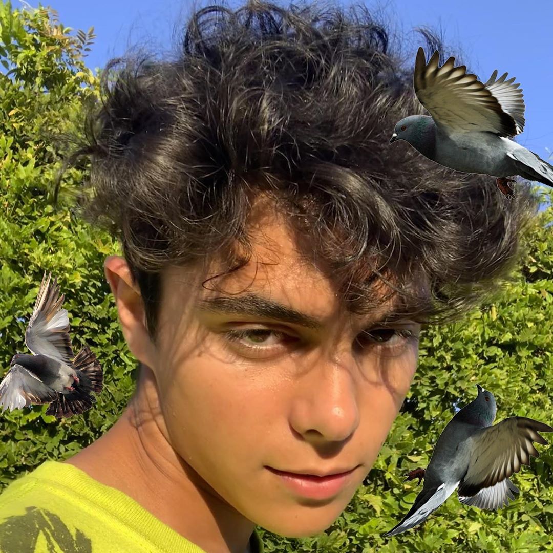 Ben De Almeida (Tik Tok) Wallpaper, Images, Pic Hd, Photo, Image Hd ...