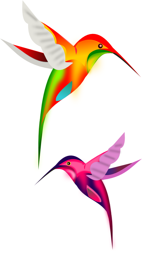 Colibríes | Vector Clipart