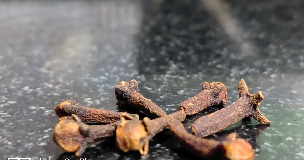 Everything that you should know about Clove (Laung)