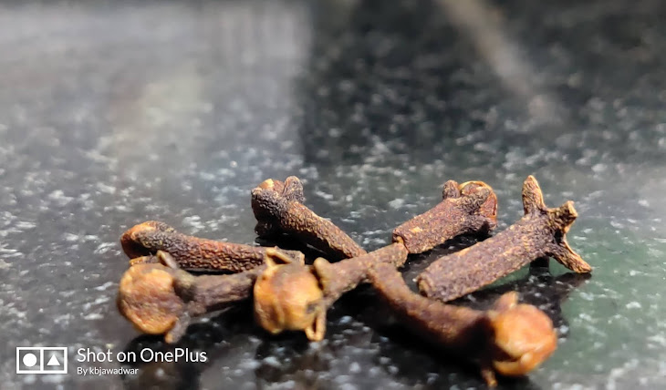 Everything that you should know about Clove (Laung)