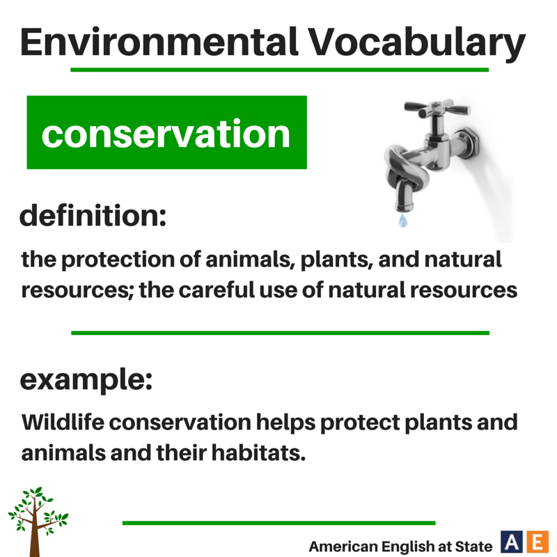 Learn English and Spanish - Aprende Inglés y Español: ENVIRONMENT ...
