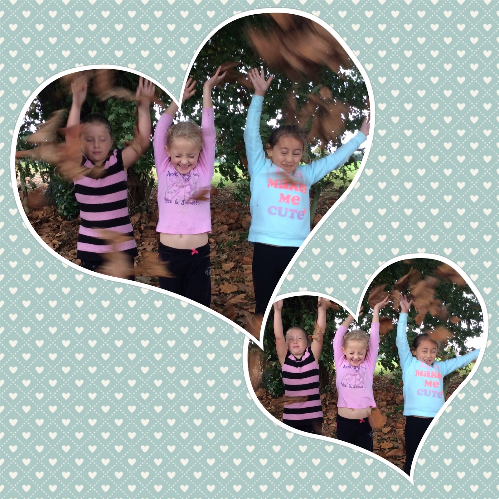 Room 3 Firth Primary School: Collage