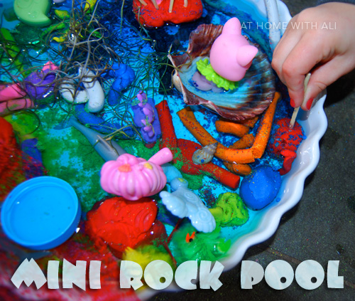 At home with Ali: A miniature rock pool