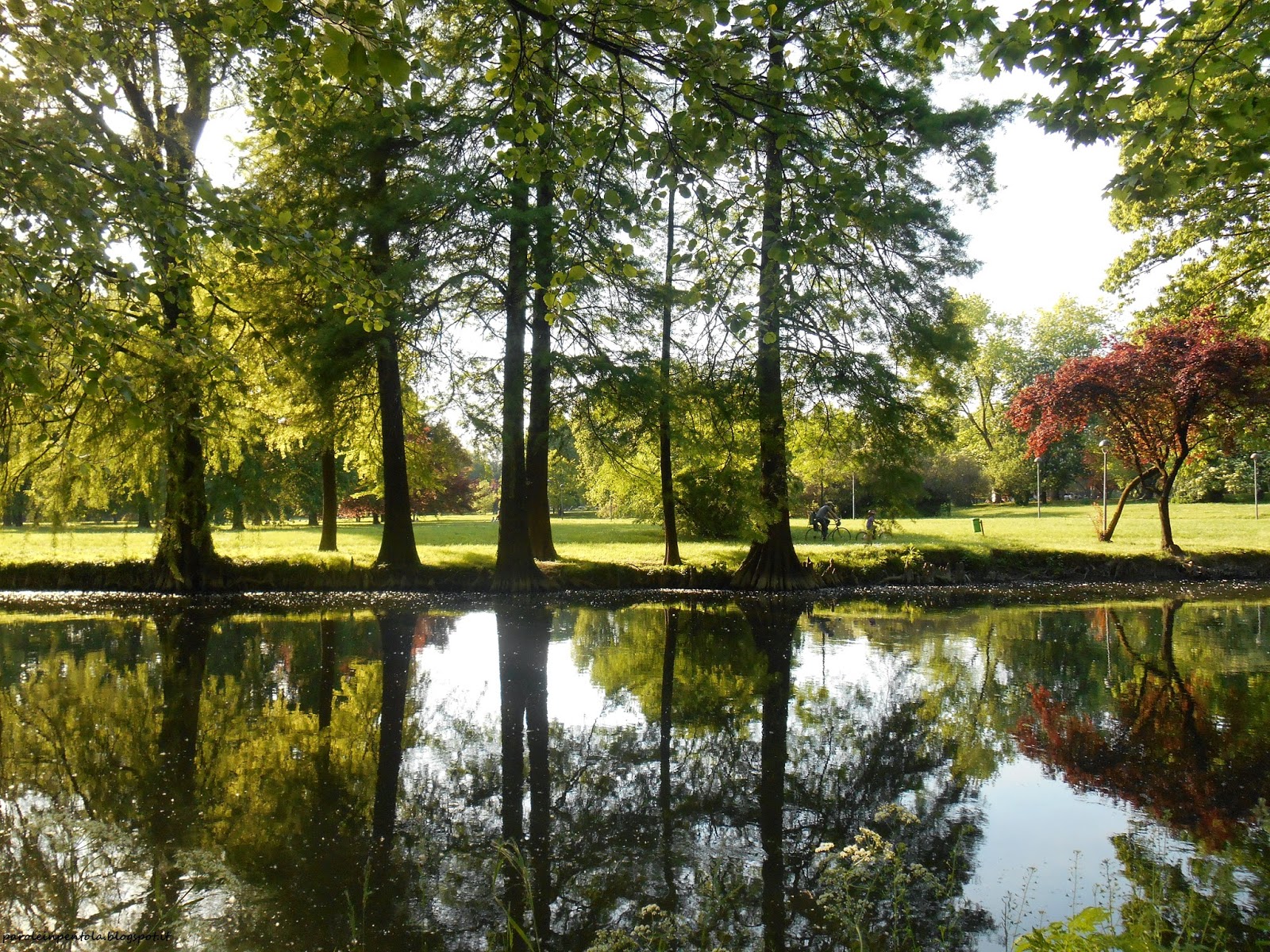 Primavera a Parco Lambro