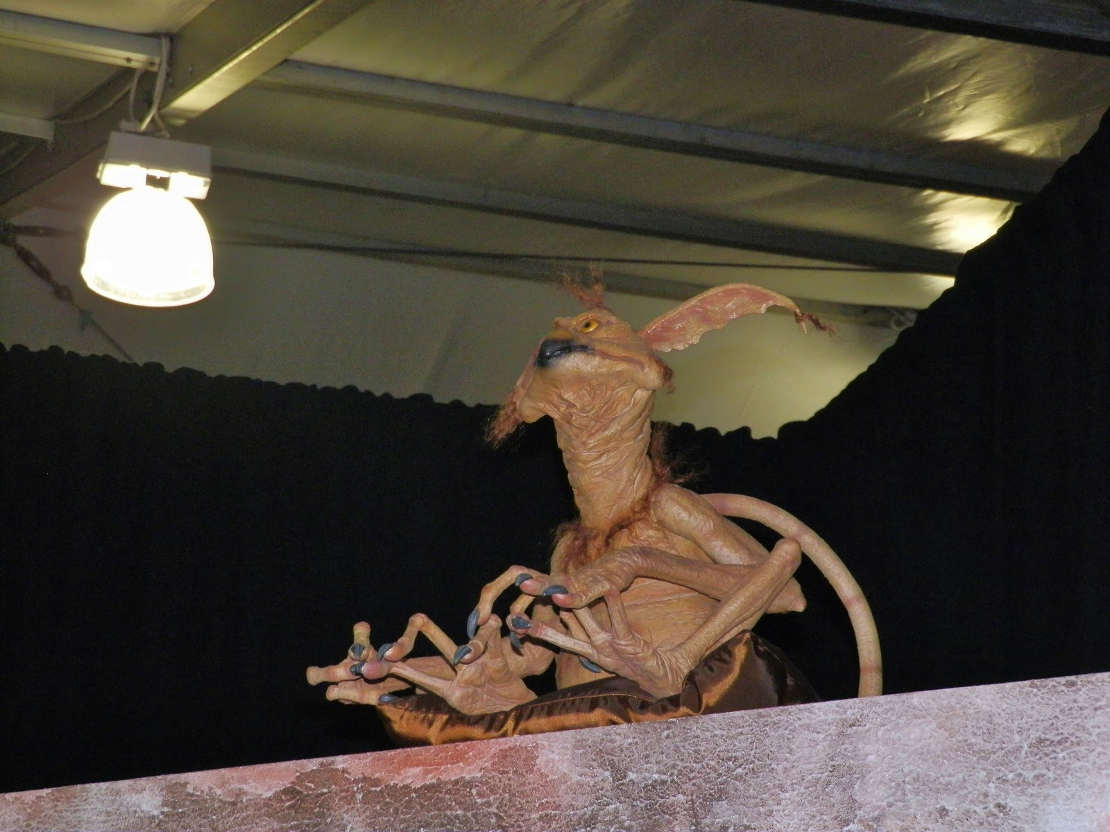 Disney Vacation Kingdom: A Wretched Hive Of Scum And Villainy