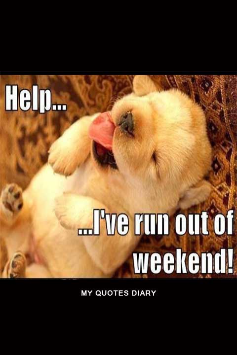 Funny Happy Weekend Memes Quotes With Funny Weekend Images funny-happy-weekend-memes-quotes-with-funny-weekend-images