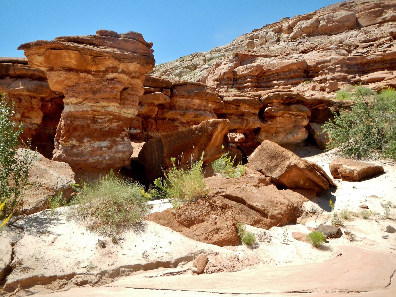 The Southwest Through Wide Brown Eyes: Recapture Pocket, a Hoodoo ...