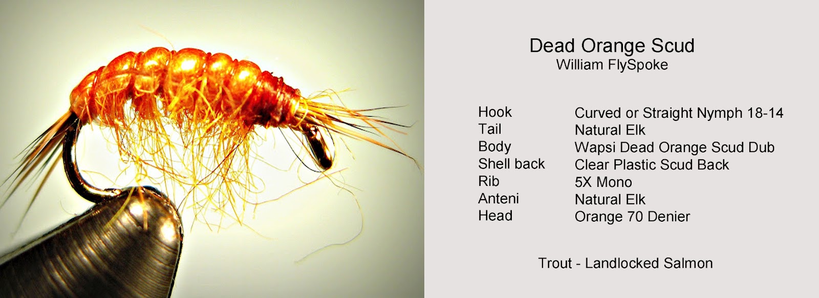 FlySpoke: FlySpoke Fly Patterns