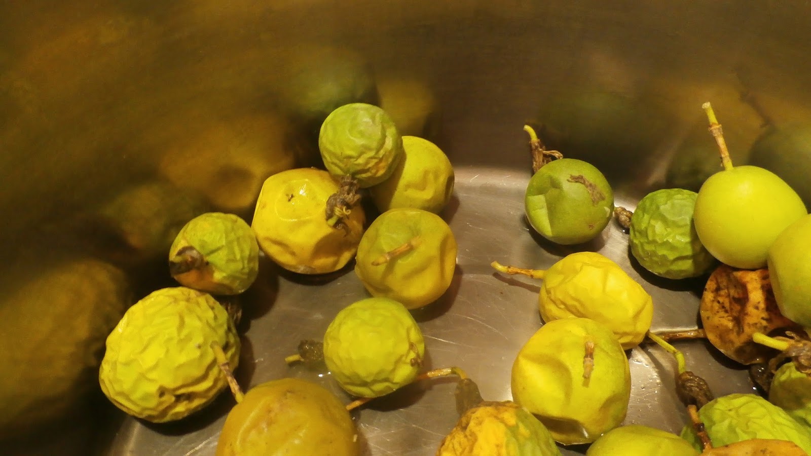 Mini Homestead News: Maypop (passion fruit) jelly