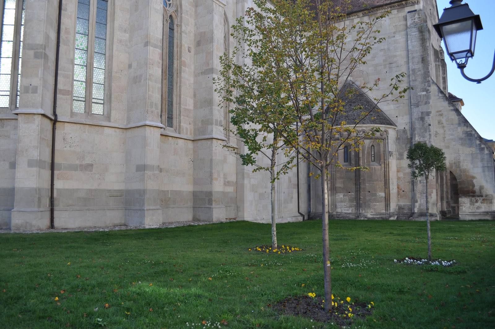 Poze, Natura, Animale, Plante, Romania, Valcea, Ionut Ungureanu