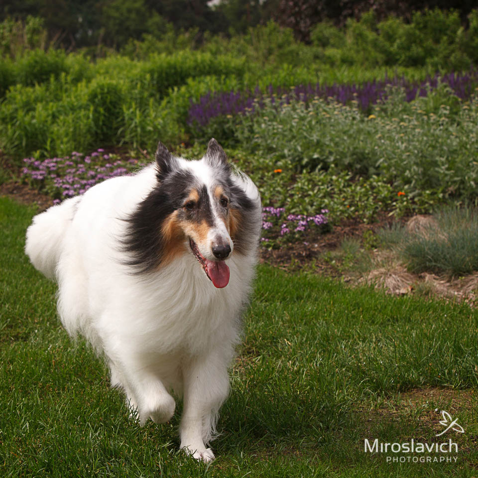 Miroslavich Photography Buzz: All round good Sport!!!