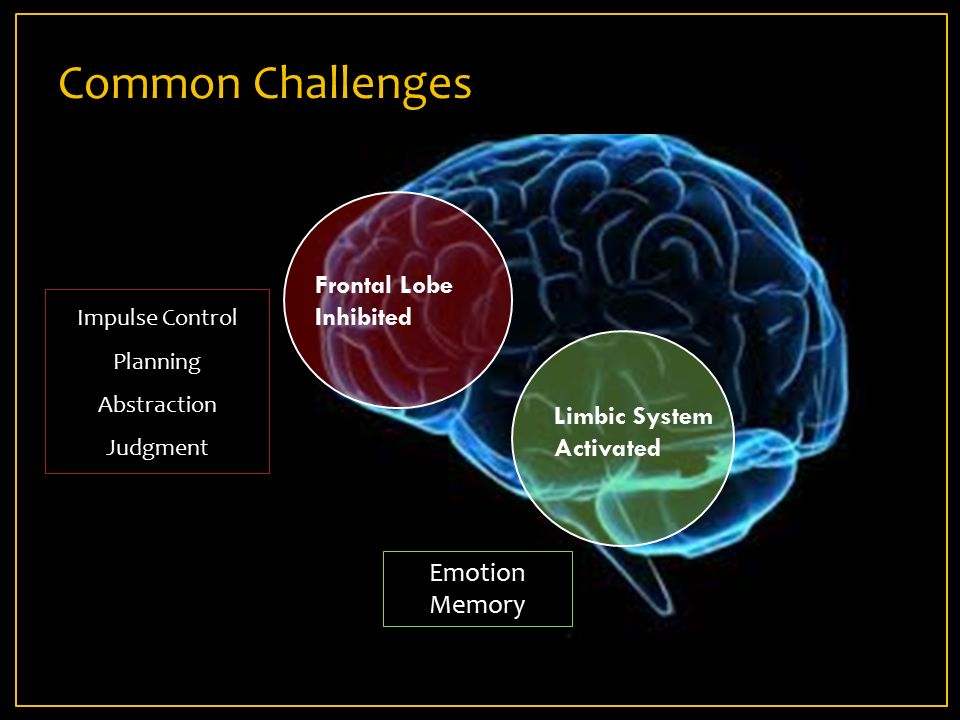 Dig Deeper: Entertainment: Limbic System vs. Frontal Lobe
