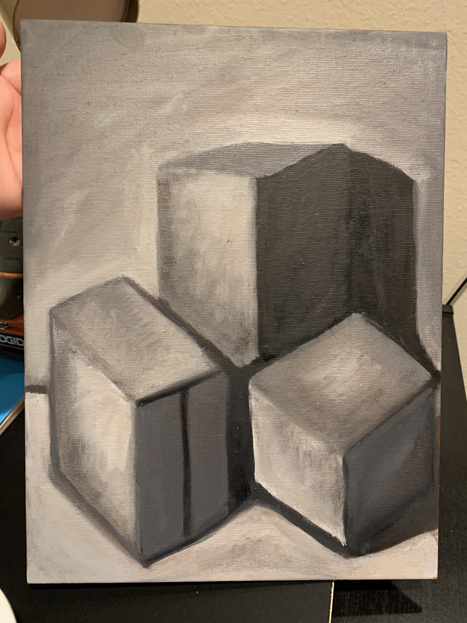 Louise: Still Life Boxes