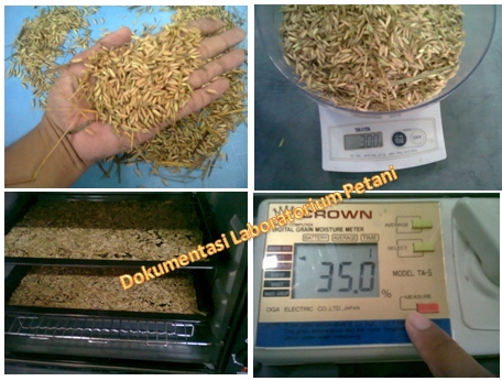 Info Petani: Menghitung Rendemen dengan Grain analyze tester