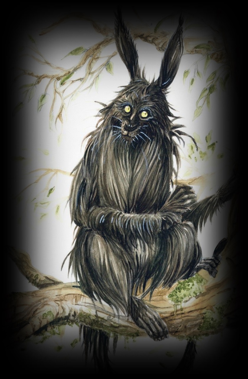 l'antro celtico: Pooka