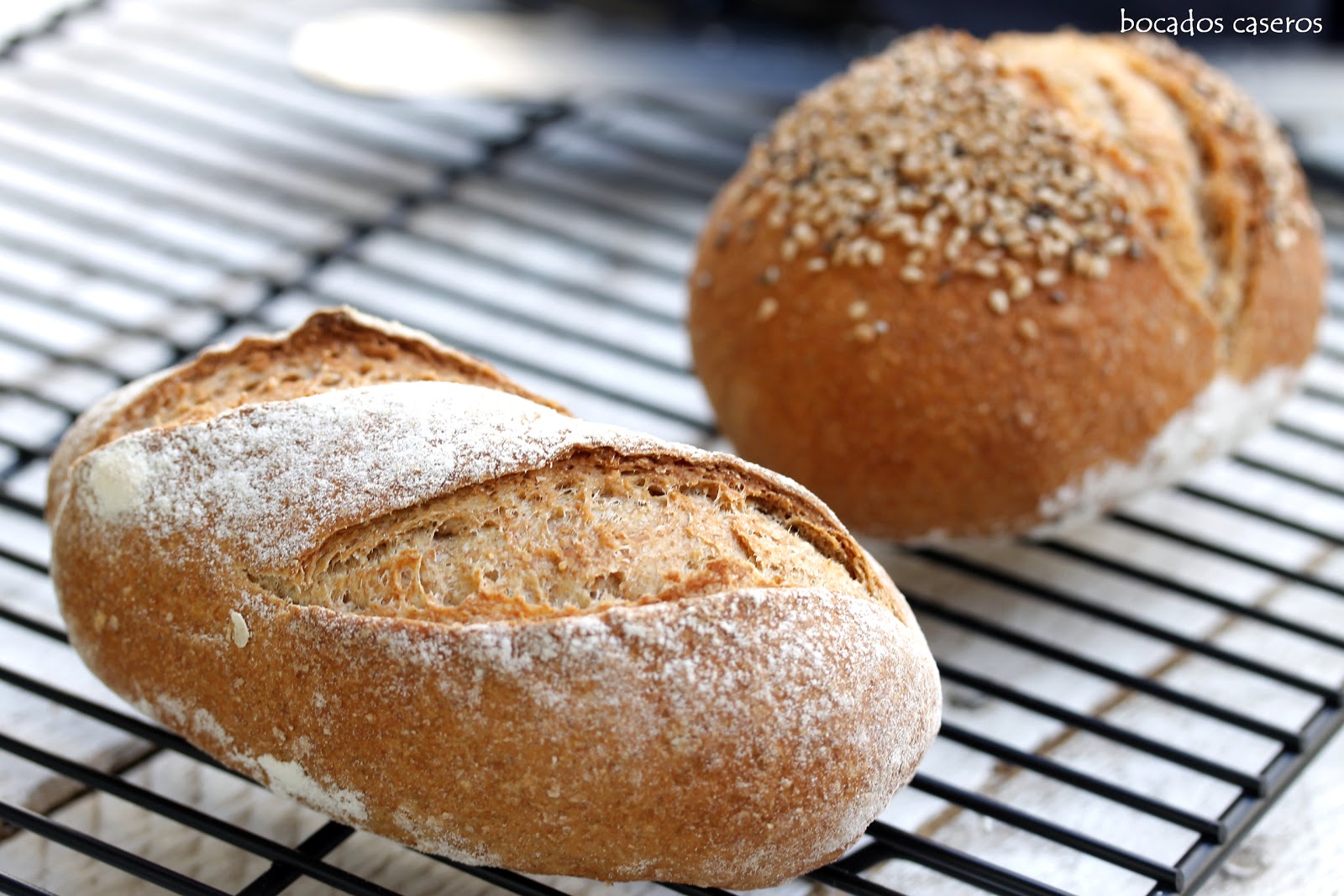 Bocados Caseros: Panes de 5 cereales con biga (receta)