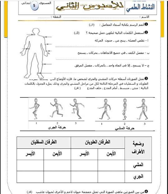 نموذج 1 للاختبار و الفرض الكتابي الثاني في مادة النشاط العلمي مستوى