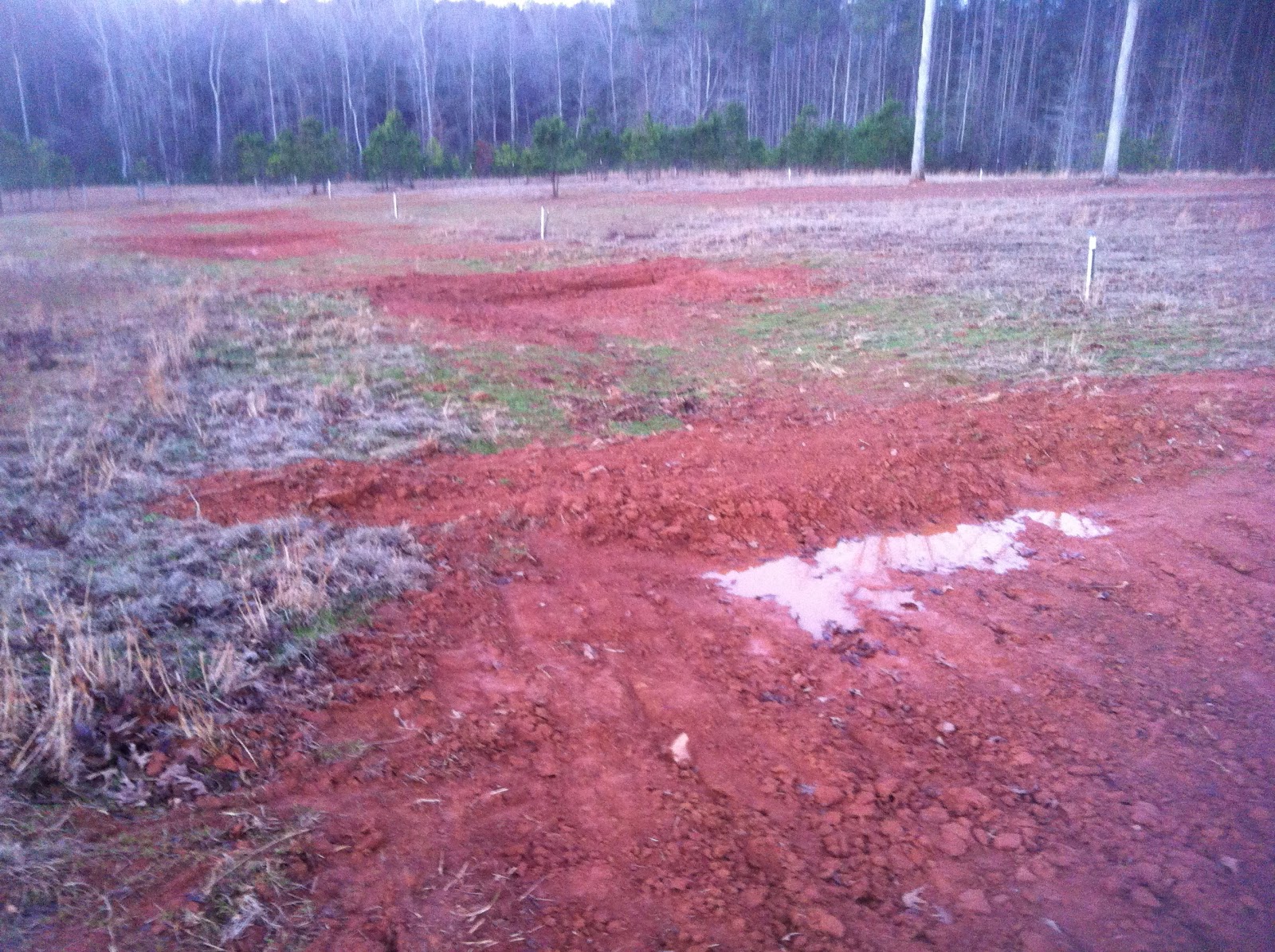 Red Clay Farm: Erosion Control Success!!!