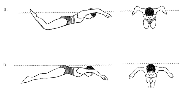 Natación: Estilos de nado