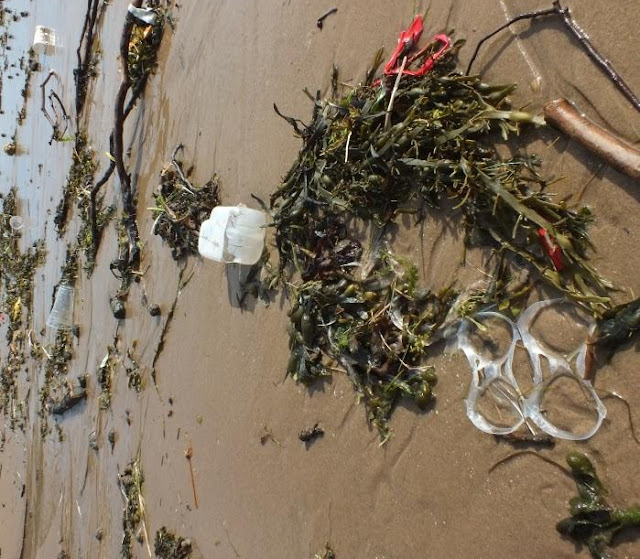 Lancashire and Lakeland Outback Adventure Wildlife Safaris: If you go ...