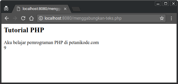 Official of Psyhcode: Perbedaan Fungsi echo(), print(), dan printf() pada PHP