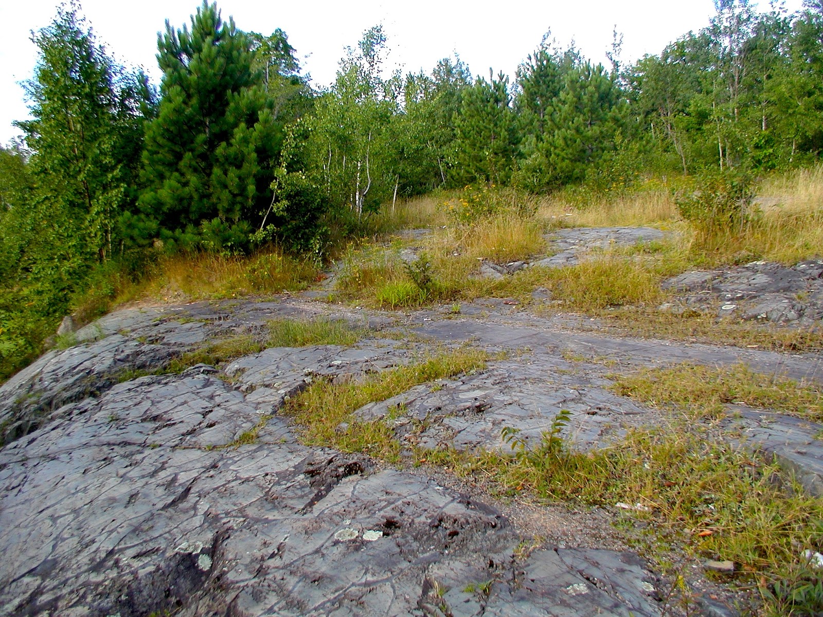 earthscienceguy: Minnesota Geology Monday - Pillowed Greenstone