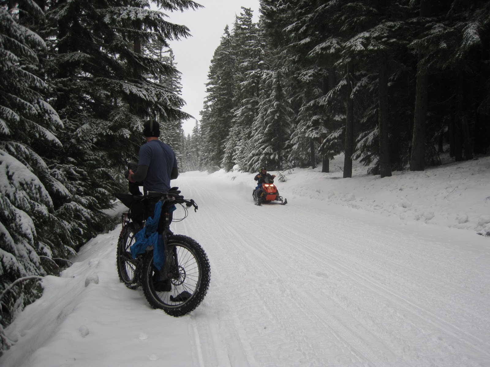 Swerving Excursions: Fatbiking- south Mt Hood snow tracks