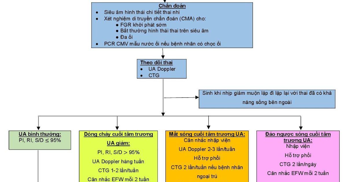 Bác Sĩ Võ Tá Sơn: HƯỚNG DẪN THỰC HÀNH XỬ TRÍ THAI CHẬM TĂNG TRƯỞNG CỦA ...