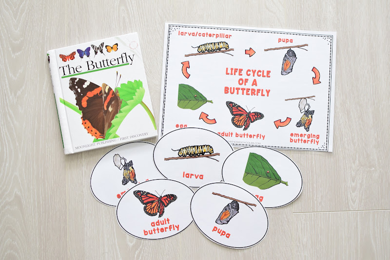 Insect Themed Lesson Plans for Kindergarten to First Grade | The Pinay ...