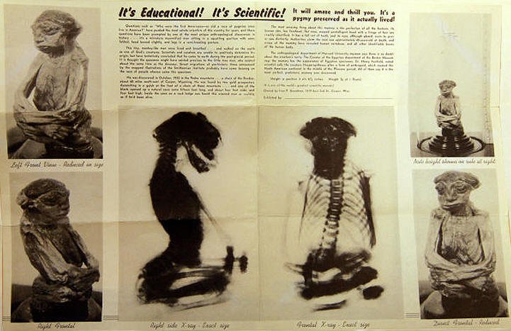 San Pedro Mountains 14 Inch Mummy: The Legend Of The Little People