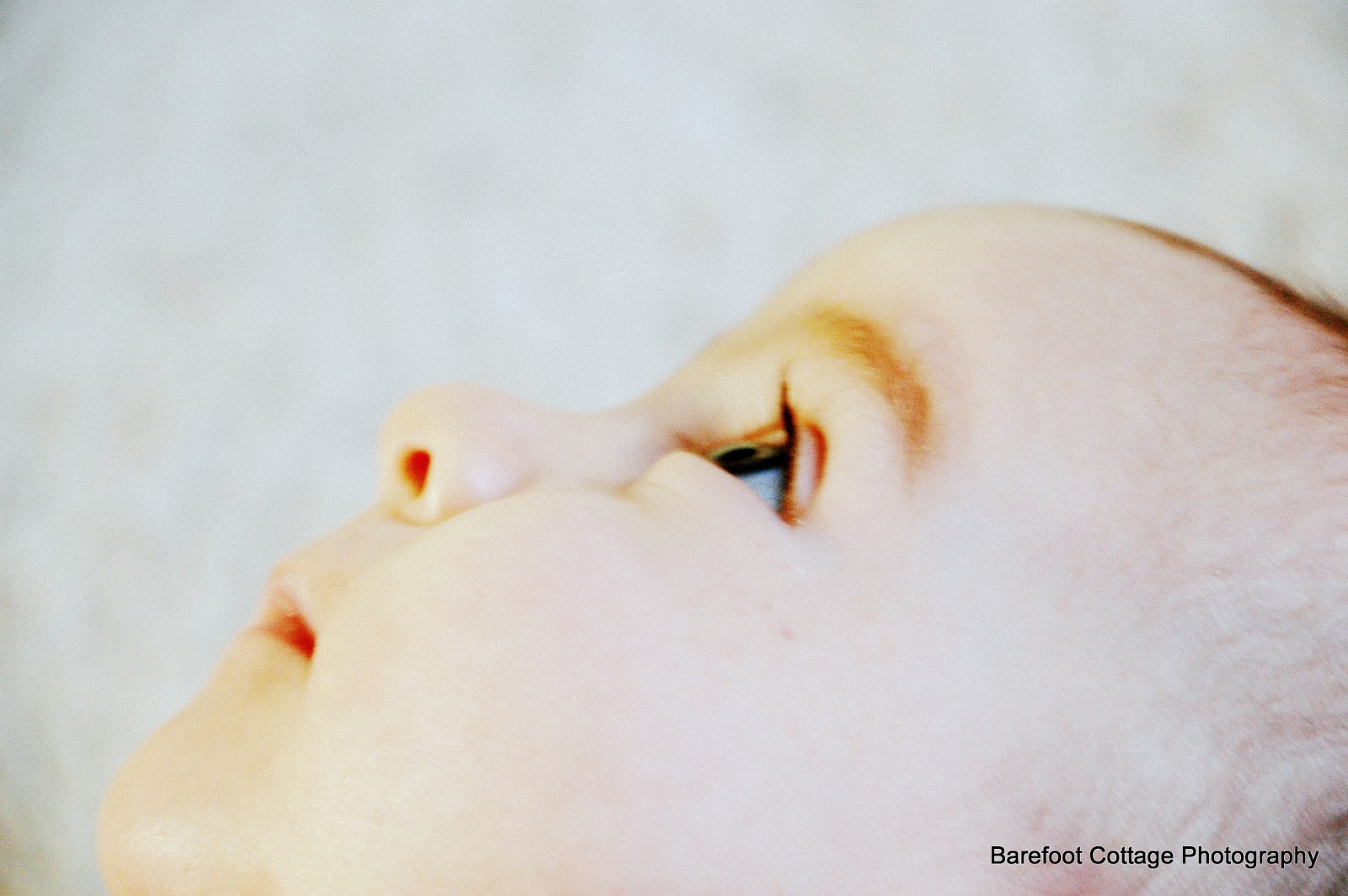 The Magic of an Ordinary Day: Squishy Baby Cheeks..