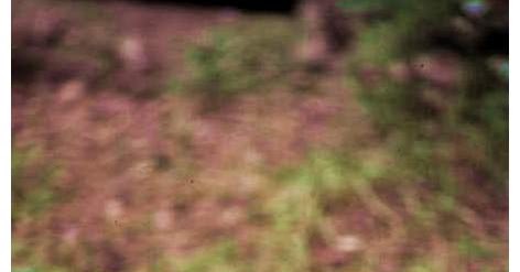 Cultura Guaraní: Ypaka'a