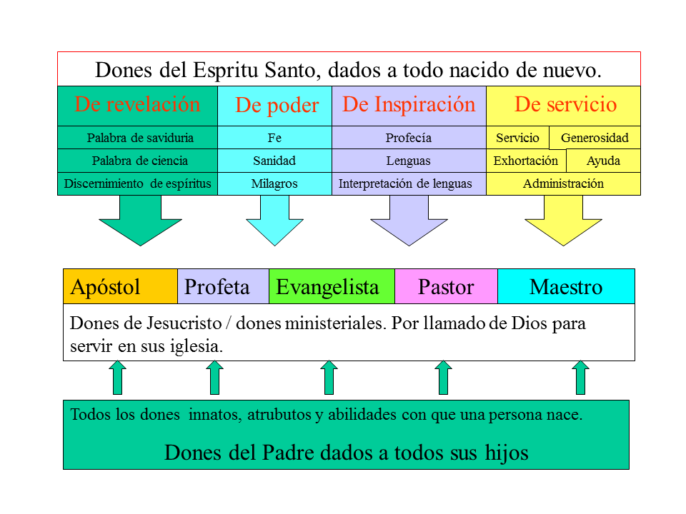 Mensajeros de Gracia: LOS DONES MINISTERIALES