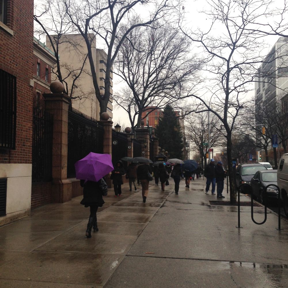 Rain Day: The Purple Umbrella on Broadway