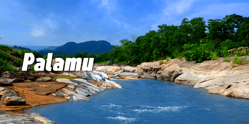 New Sagen Sakam: Plamu