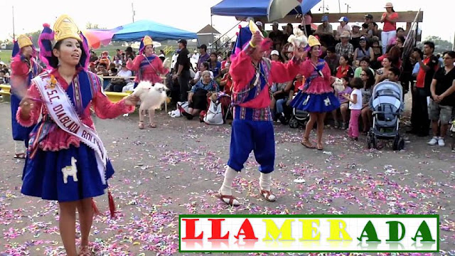 Demasiadas Noches: Llamerada (Bolivia)
