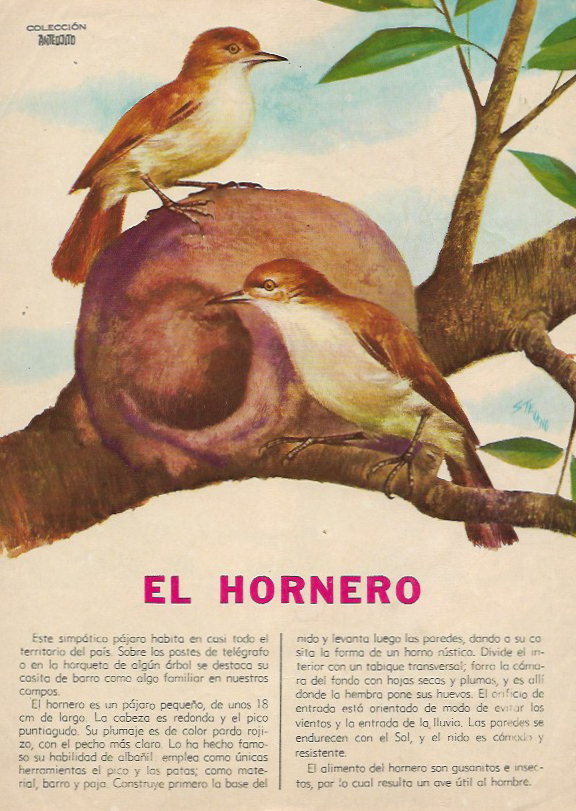 Heráldica en la Argentina: "El hornero"