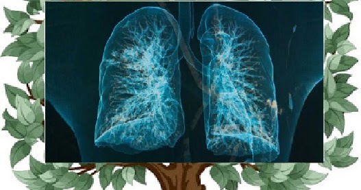 bensağlık: Akut Bronşit'in Modern Kuralları