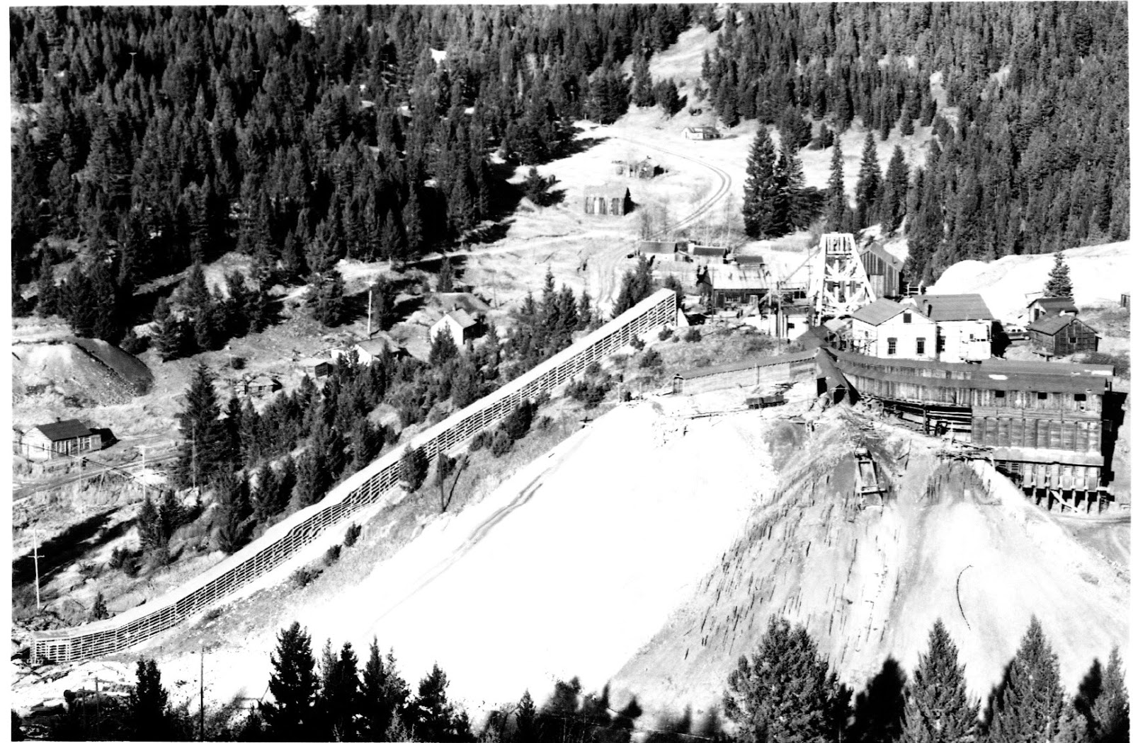 Granite County History: Hector Horton