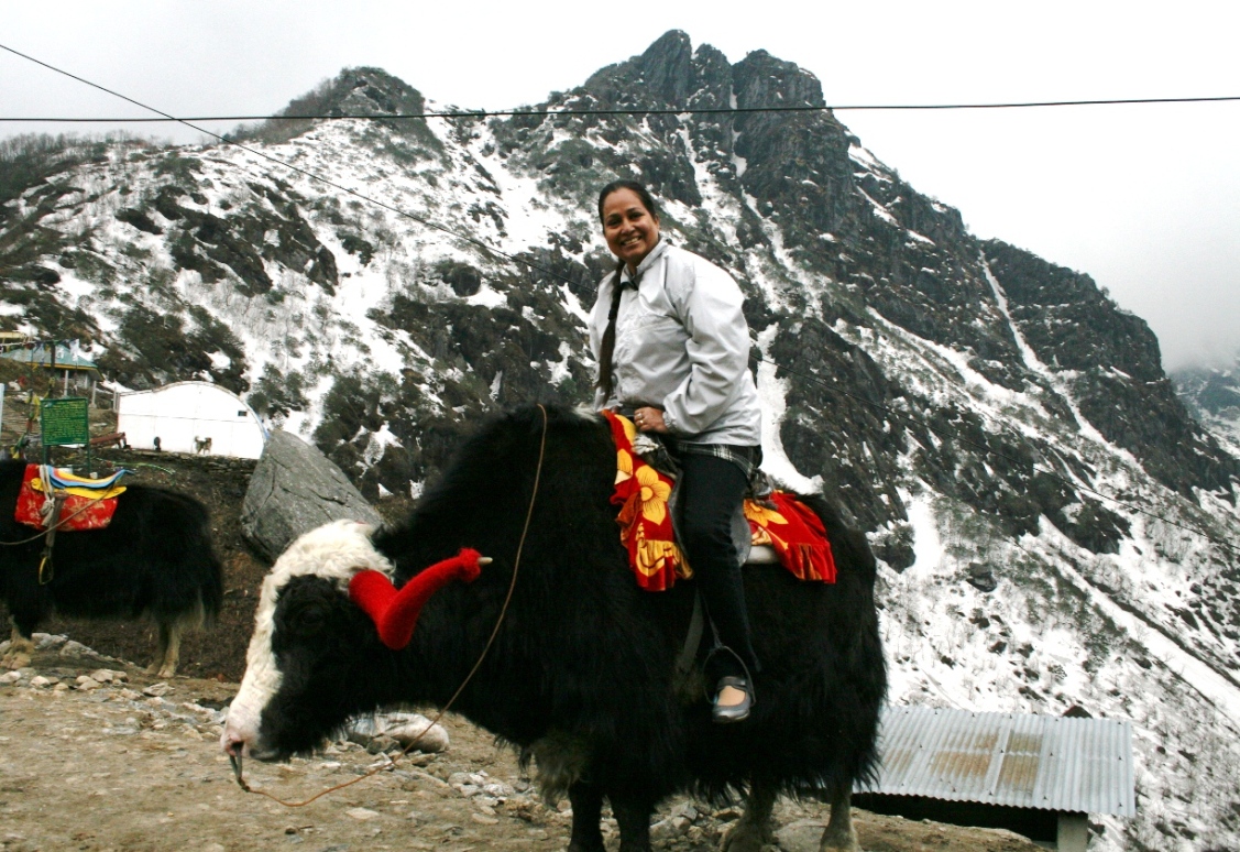 mytravelfootprints: ‘Y’ for YAK! Elsie Gabriel