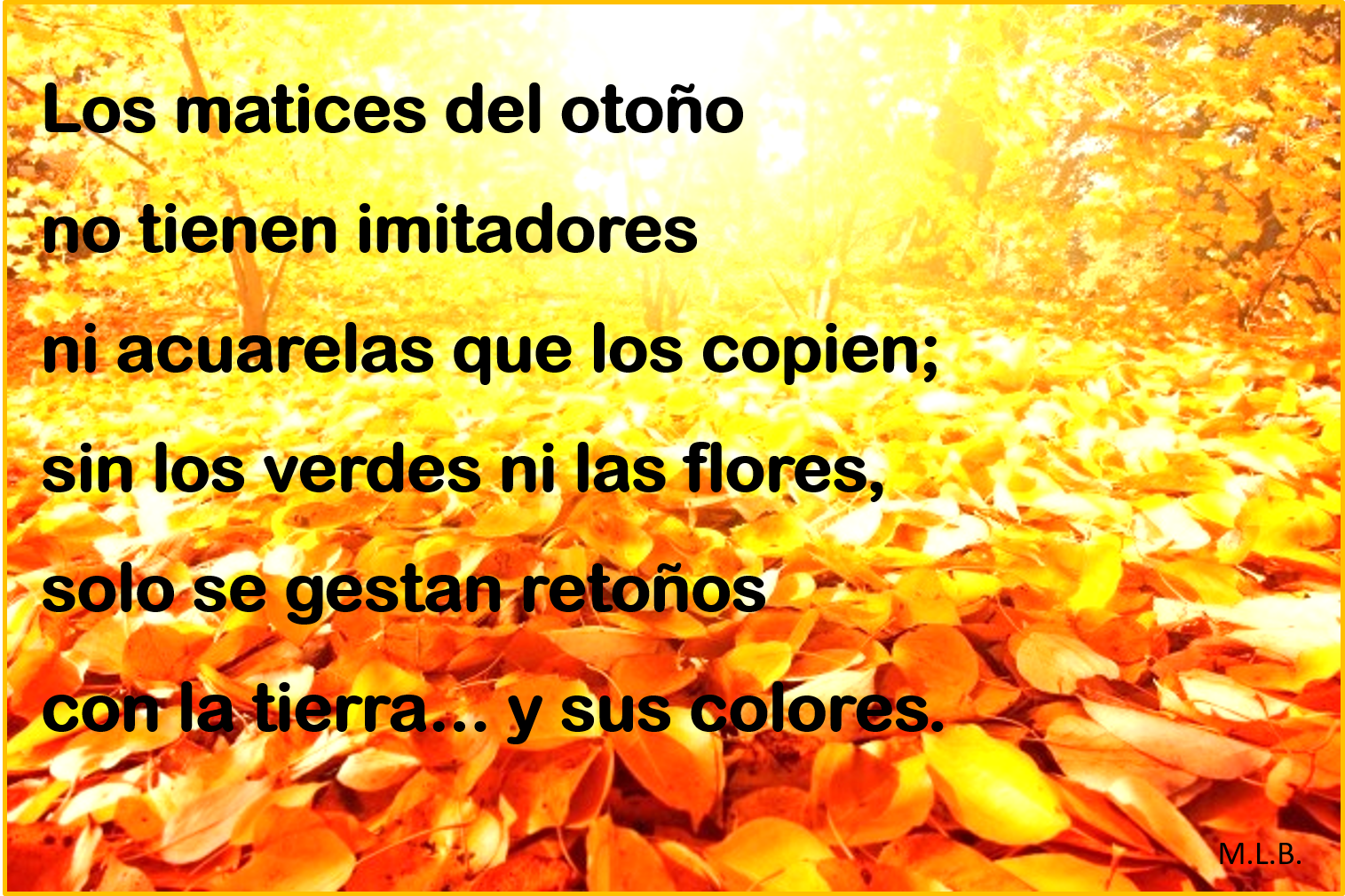 Palabras, Poesías y Versos con Rima: Los matices del otoño