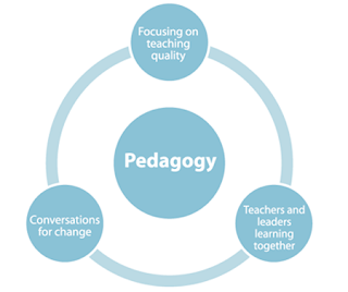 Pedagogy In Education: What is PEDAGOGY?