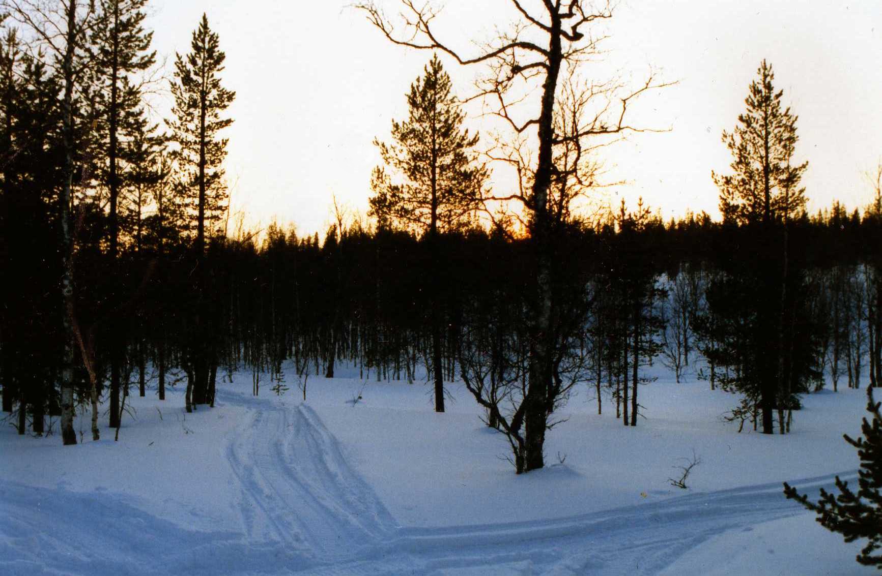 Minun Lappi: KARHUNPESÄN TALVI