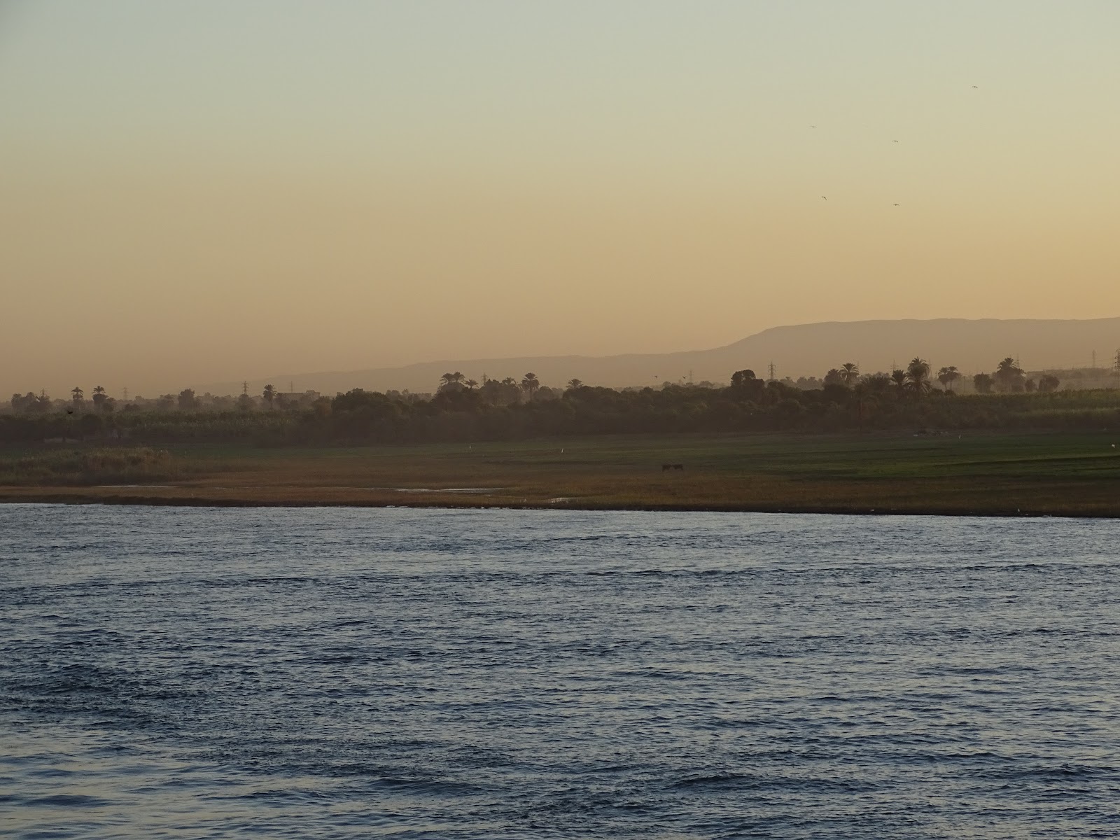 TRAS LAS HUELLAS DE HERÓDOTO. . . : EGIPTO EL DON DEL NILO.