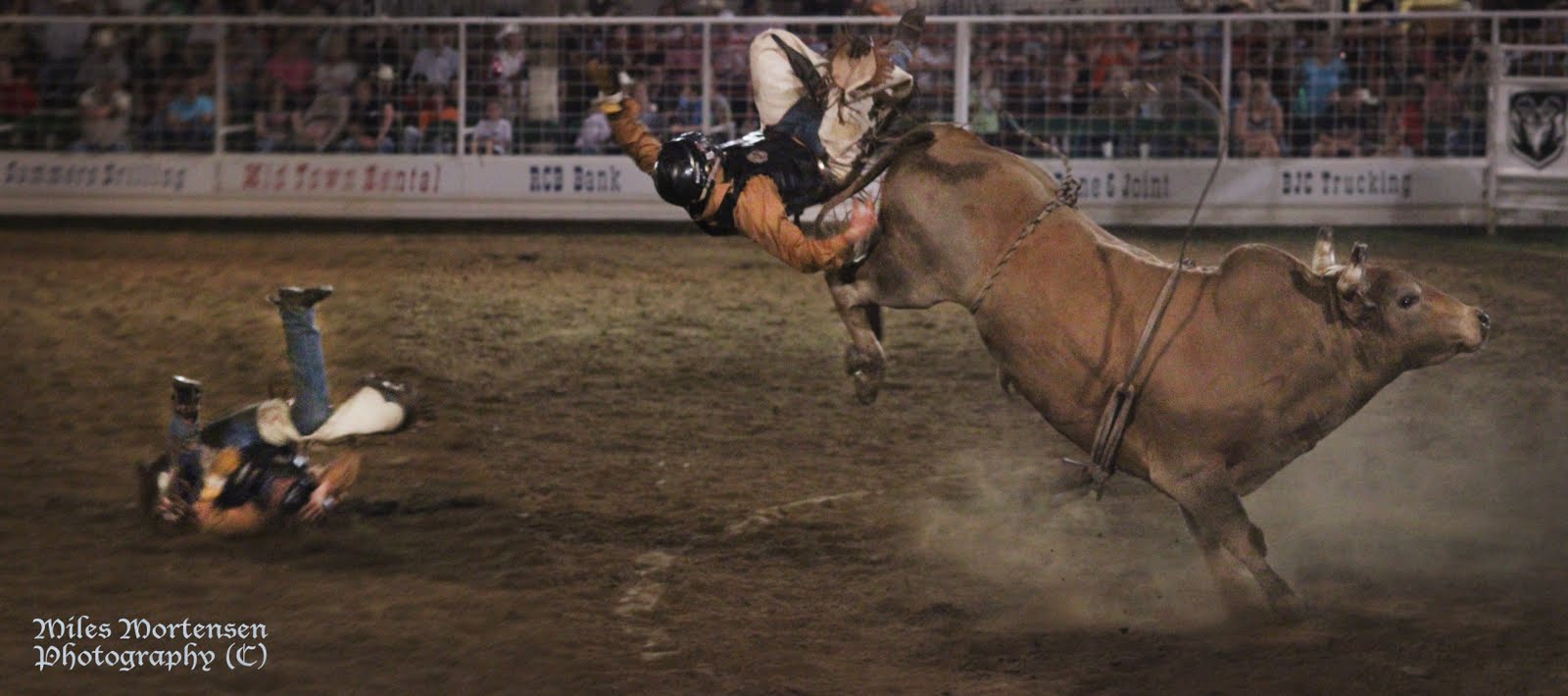 Miles Mortensen Photo Adventures: The Mean Bull