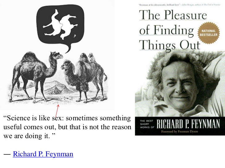 Naval Air Cowman: Feynman on honesty and integrity in science