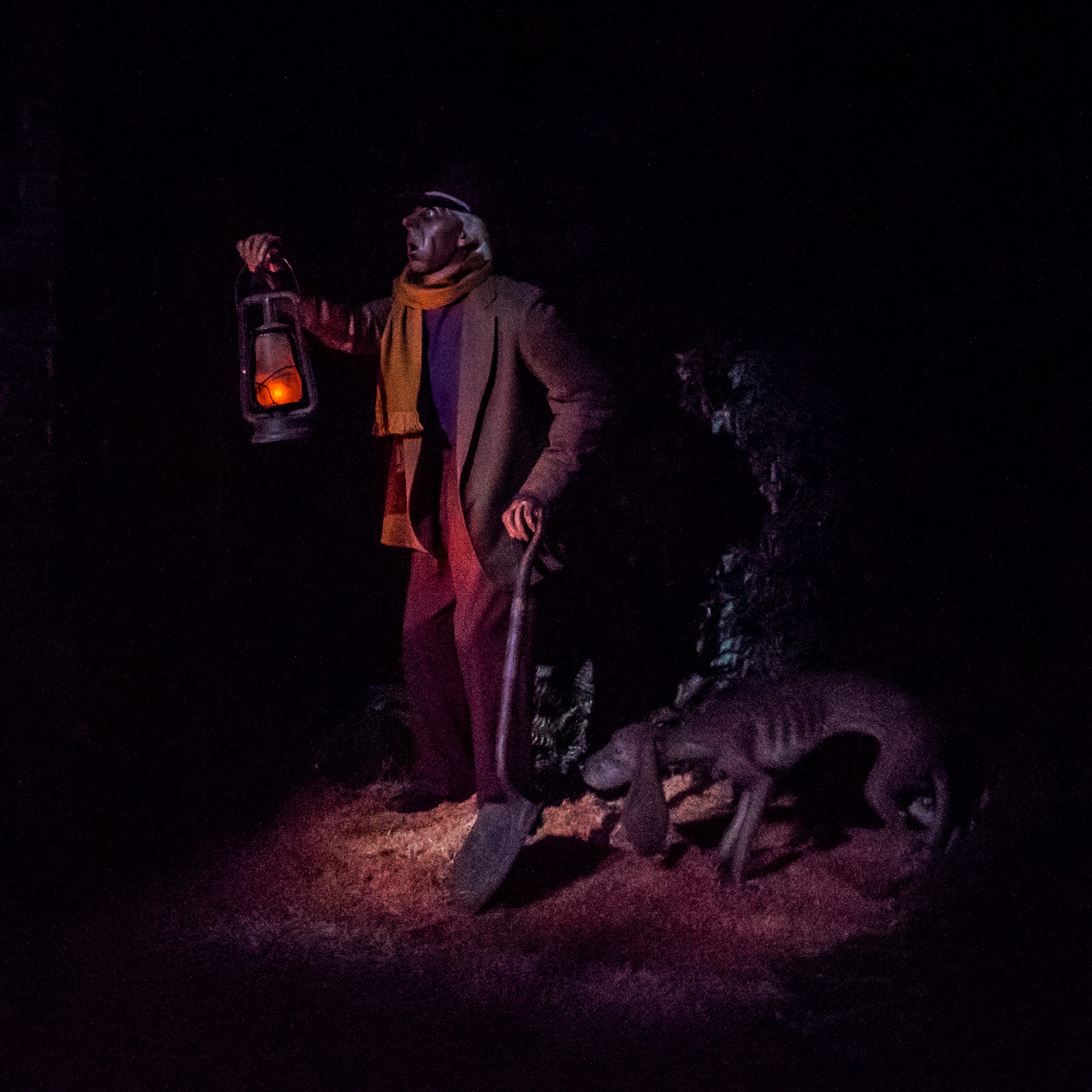 Spooky Spirit Snapshots