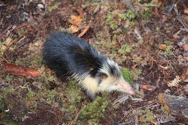 Holguín, the most beautiful city
