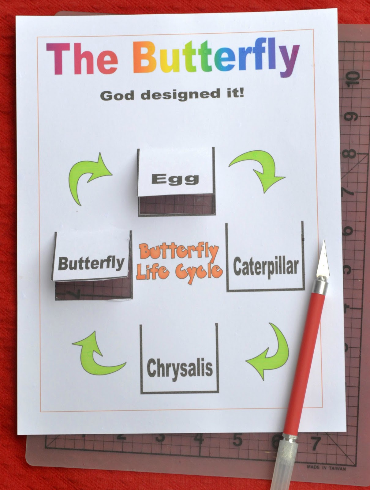 Bible Fun For Kids: God Makes the Butterflies