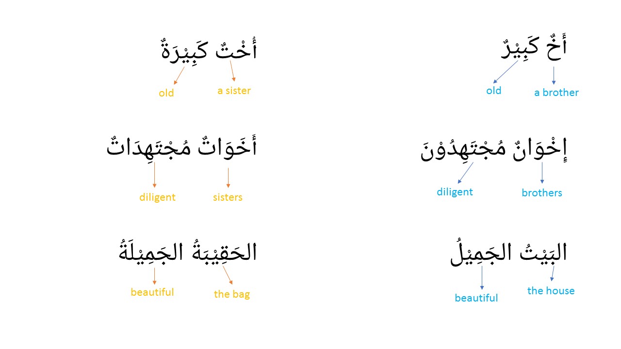 an-na't | The rules of an Adjective in Arabic